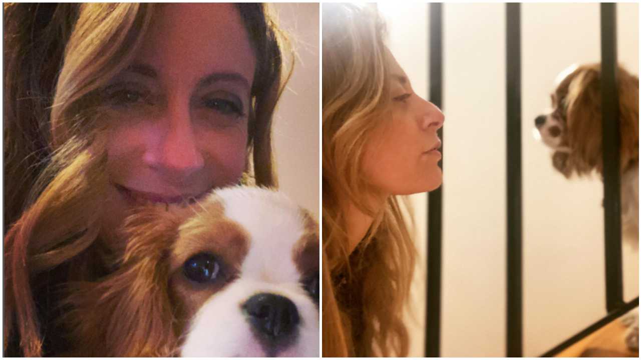 Enrico Mentana conduce tg con cani regalati Fagnani - Business.it