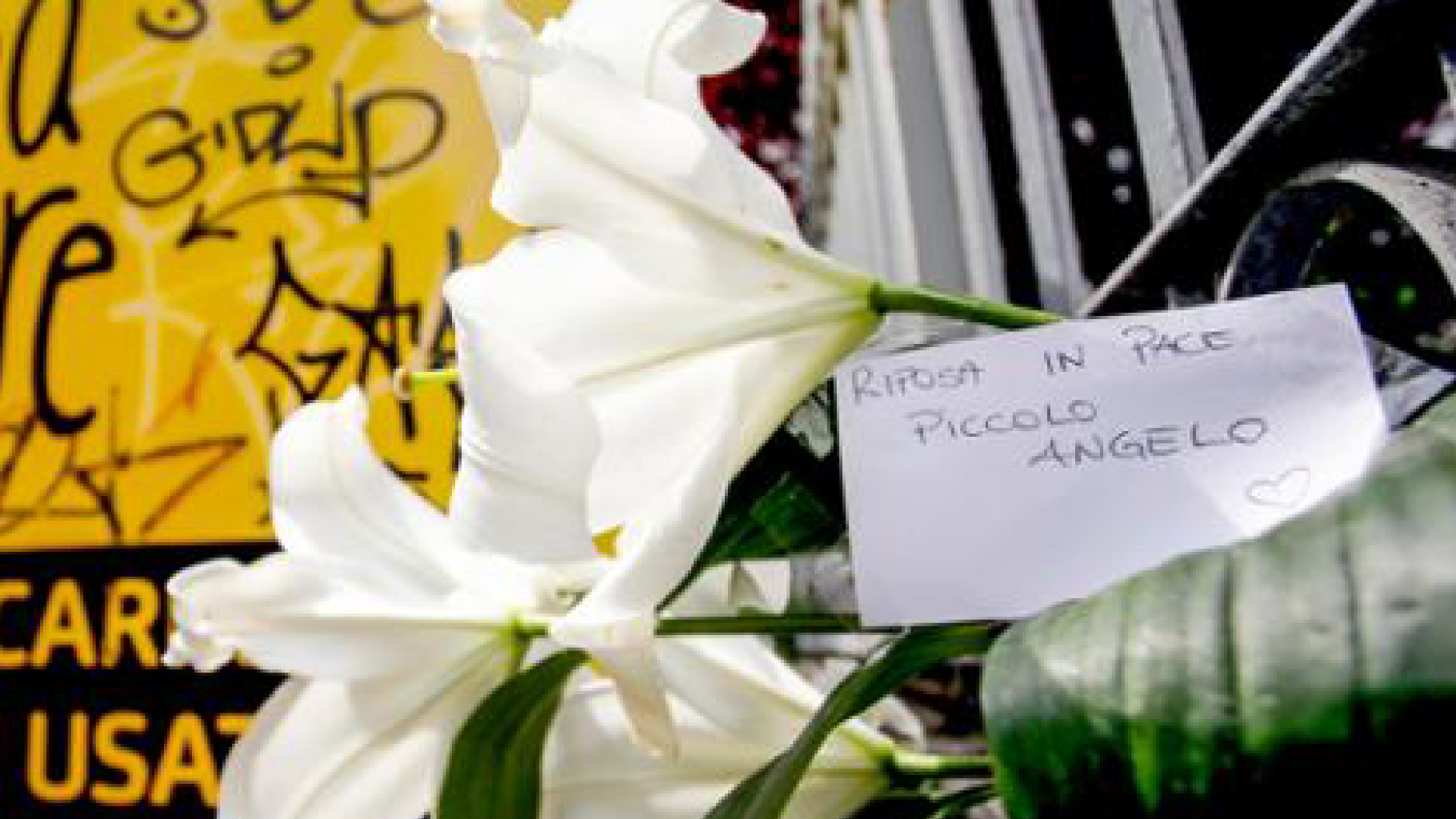 È nata morta la neonata trovata in un cassonetto - Business.it È nata morta la neonata trovata in un cassonetto - Business.it